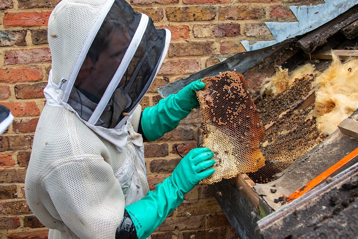 Melbourn Post - Australian News site